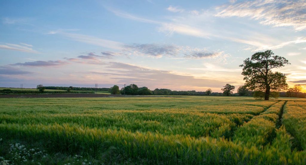 Our Leadership Team – New Hope Ranch